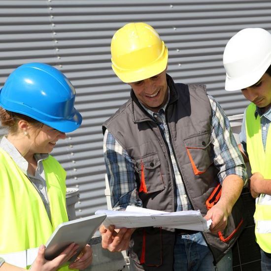 Tree Lopping / Felling: Inductions and Training (Construction Work)