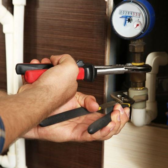 All SWMS: Water Meter Replacement (Domestic)