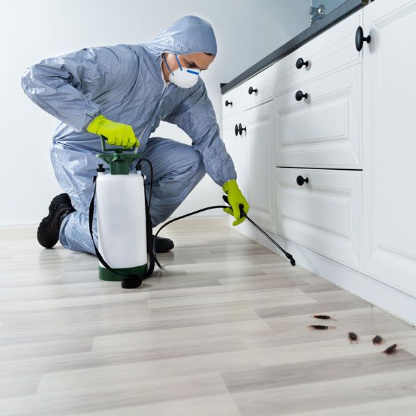 All SWMS: Pest Control